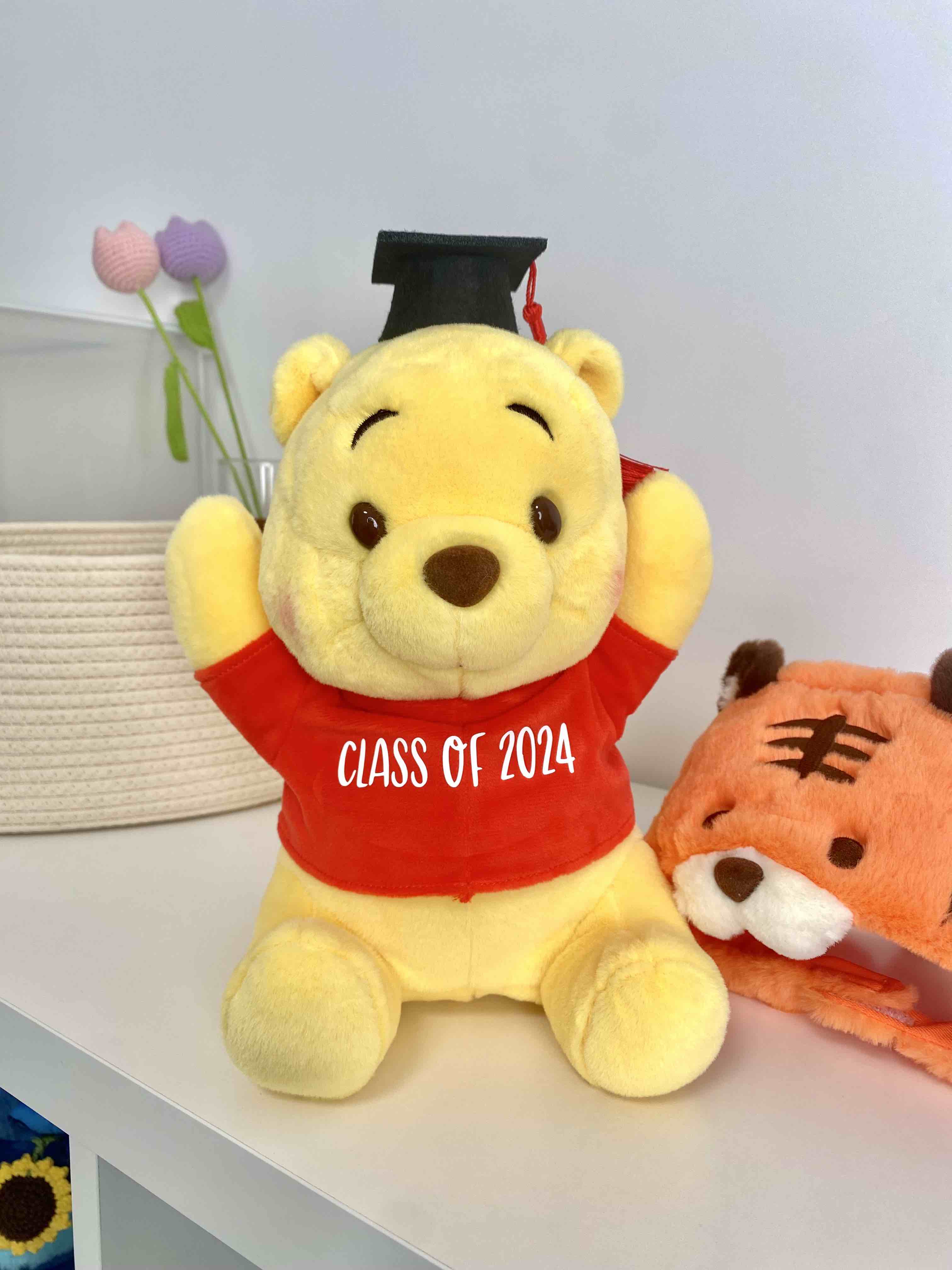 Graduation Winnie The Pooh Plushie| Personalized Plush – SugarMilkAngel